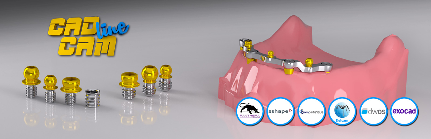 CAD/CAM Bars | Rhein83