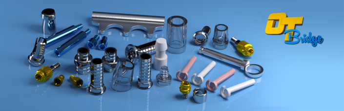 Fixed Prosthesis OT Bridge | Rhein83